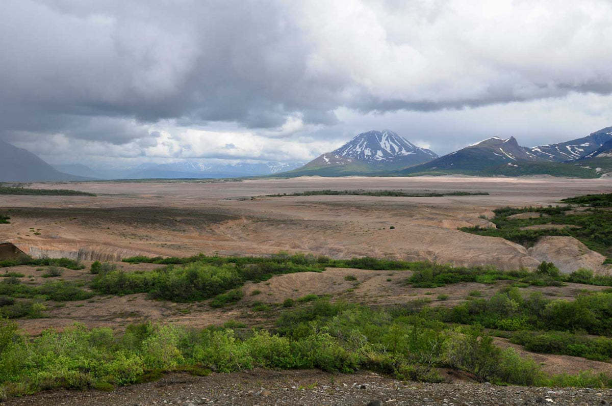 1.Use_1200x1200.jpg?v=1641230843